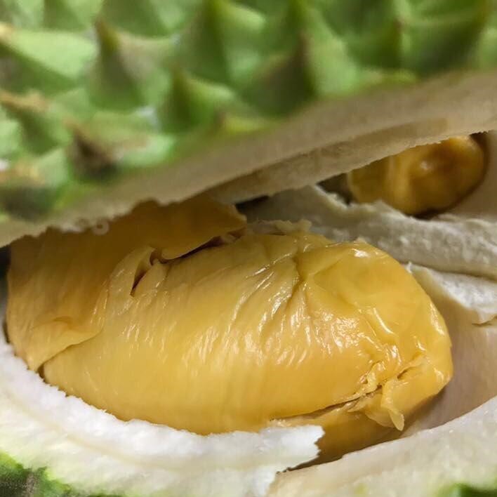 Durian – SS2 Durian House Stall